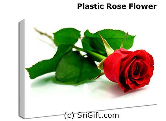 Rose Flower Plastic. | SriGift.com | Gift Kapruka In Sri Lanka. Send ...